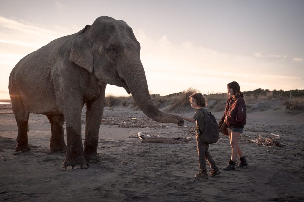 Llega a Flow la miniserie “Anna” de AMC - Con Pochoclos